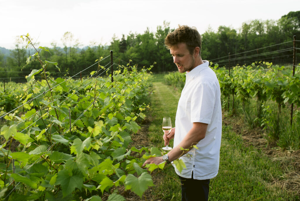 The Roost Featured in CBC Article on New VQA Grape Varieties - The ...